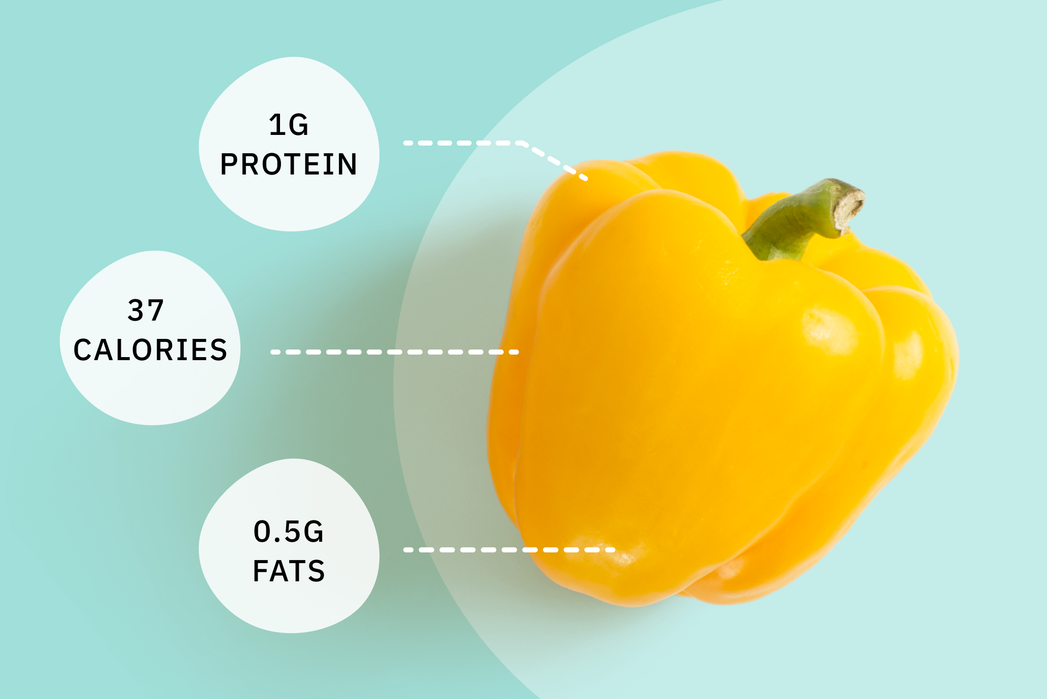 How Many Calories Should I Eat a Day — Unimeal